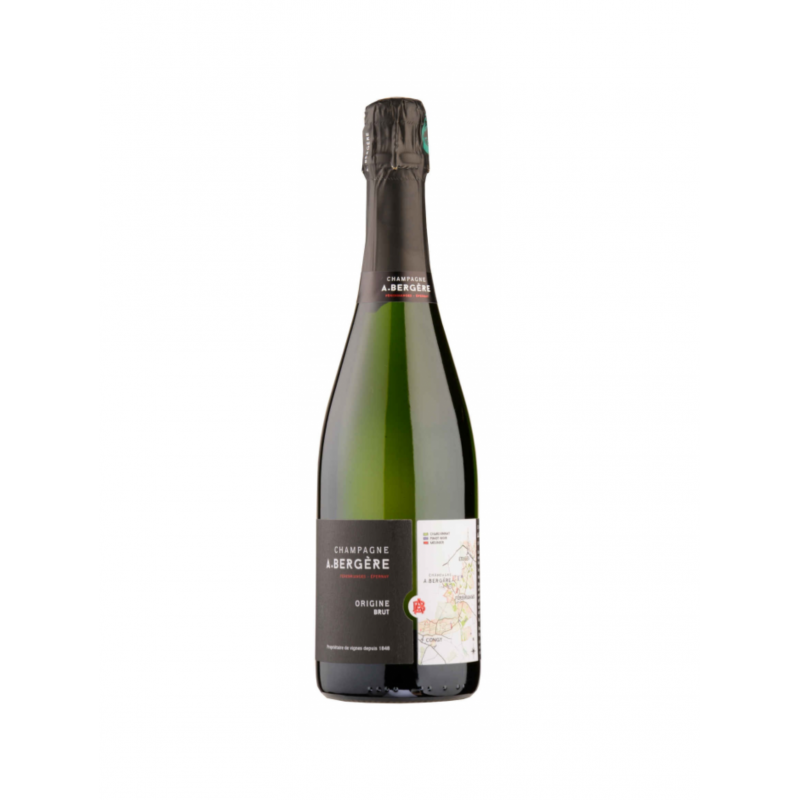Magnum Champagne A.Bergère Brut "Origine", Champagne en format ...